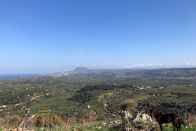 Chania Area: Cooking Class at a Farm in Stylos Village (organic)