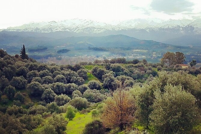 Chania Nature & Villages, White Mountains & Unique Cretan Lunch - What Travelers Say