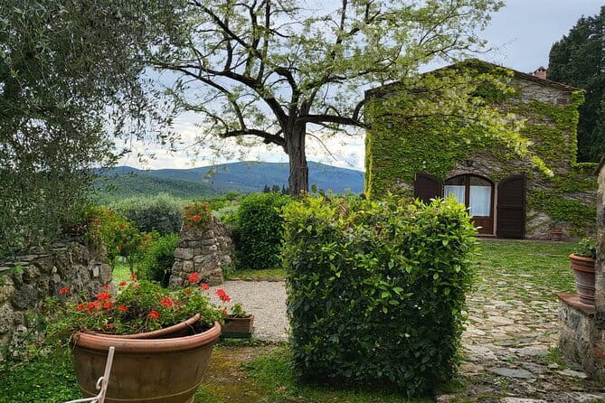 Chianti Half Day Wine Tour from Florence - The Itinerary: What Youll Experience