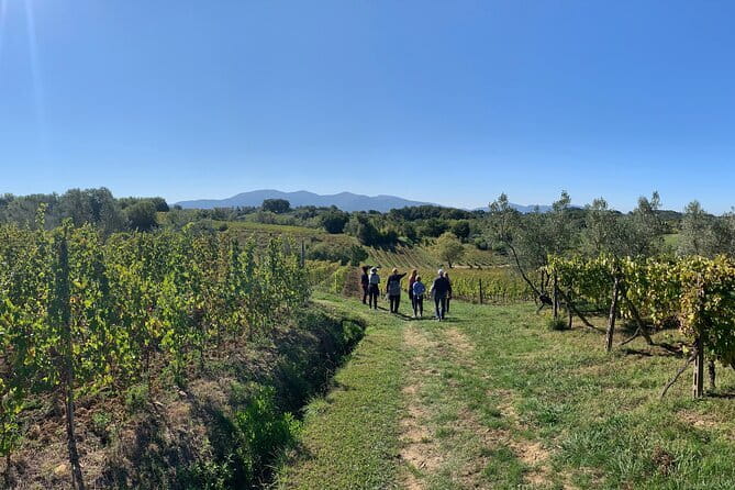 Chianti Wine Tasting Tour from Florence (2 Wineries) - Authentic Experiences and Customer Feedback