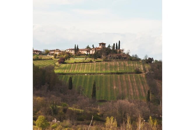 Chianti Wine Tour from Florence to San Gimignano with 2 Wineries - Touring the Wineries of Chianti