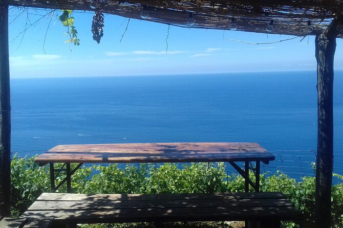 Cinque Terre by train and boat - Going Deeper: What to Expect from the Tour