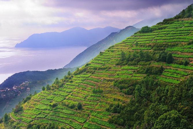 Cinque Terre Private Tour by minivan and ferry-boat from Lucca - Transportation and Timing