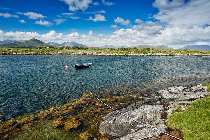 Connemara and Galway City Day Tour from Dublin - Is This Tour Worth It?