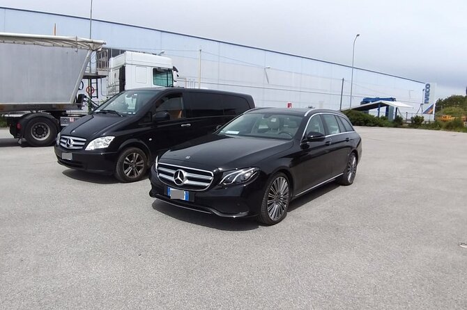 Copenhagen Port to Copenhagen hotel - Private Round-Trip Transfer