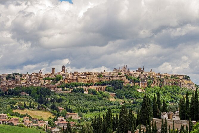 Day private tour from Rome to the Dying Town of Bagnoregio and Orvieto - Who Is This Tour Best Suited For?
