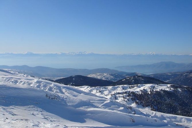 Delphi Private Full-day trip from Athens - Authentic Experiences and Genuine Feedback