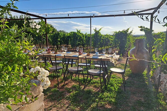 Dinner in the vineyard with wine tasting and walk