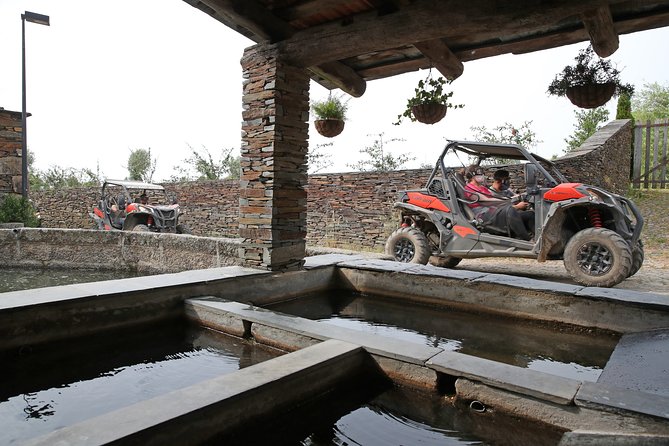 Dirt and Dust Tour by Oporto Buggy