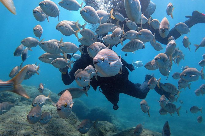 Discover Scuba Diving in Puerto de Mogan
