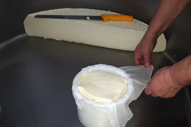 Discover the Art of Idiazabal Cheese in the Basque Country - The Transport and Group Experience