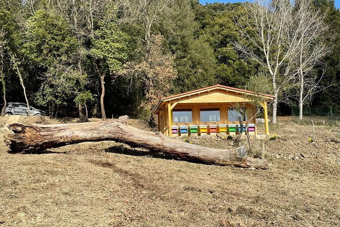 Discovering Bees in Volterra - Inside the Apiary: What to Expect