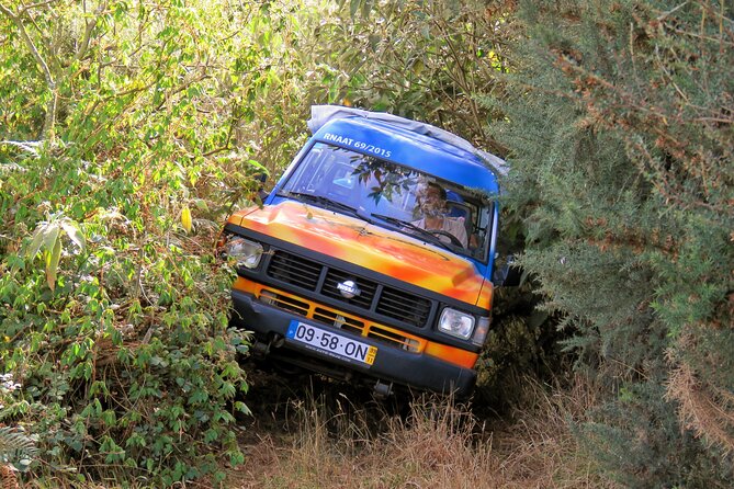 Discovering Northwest Madiera Shore Excursion w/ Harbour pickup - Practical Details & Why They Matter