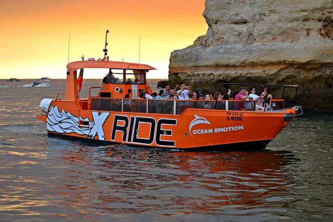 Dolphin Watching and Caves Cruise - The Value and Practicalities