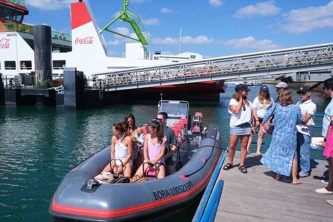 Dolphin watching in Setúbal