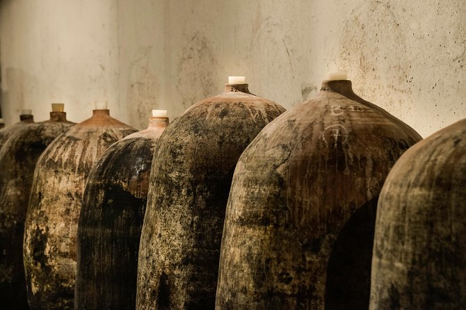 Domain visit - A Well-Structured Itinerary: From Vine to Cellar