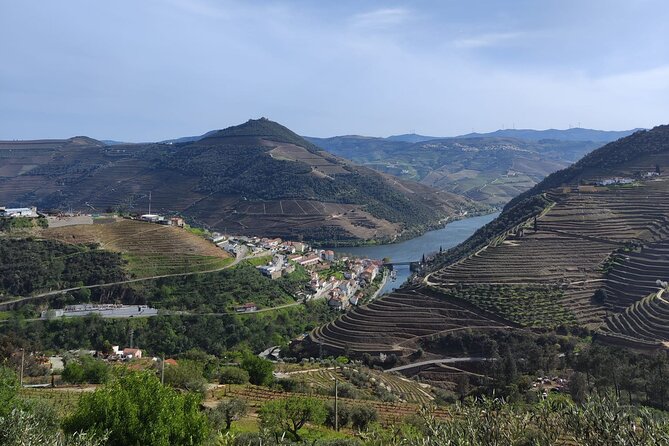 Douro Valley full experience with limited small group - A Historic Wine Estate and Traditional Lunch
