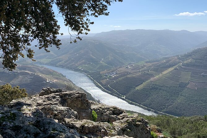 Douro Valley private tour includes wine tasting and boat trip - Exploring the Heart of the Douro: Peso da Régua
