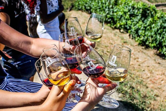 Douro Valley Private Tour with tasting included - Quinta da Pacheca: The Heart of Port Wine Tasting