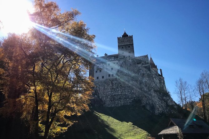 Dracula Castle Rasnov Fortress optional Peles Castle from Brasov - Transport and Comfort: Making the Journey Stress-Free