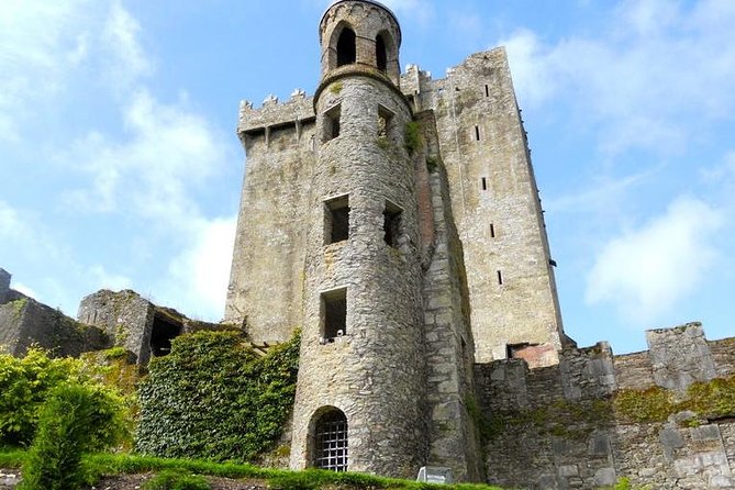 Dublin to Cork, Blarney Castle, Cobh Cathedral by Train and Coach - Authenticity and Reviews: What Real Travelers Say