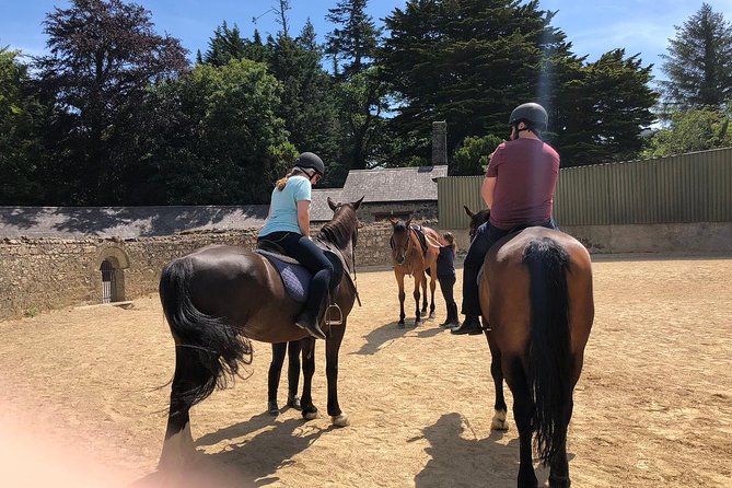 Dublin to Wicklow, Glendalough Small Group Tour with Horse Riding - The Ride Back and Overall Experience