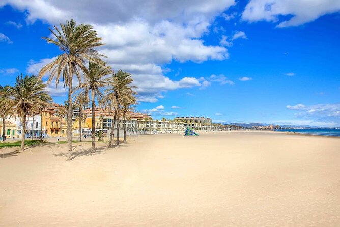 E-bike Tour: Beaches, & City of Arts and Sciences (From 30,00) - What the Experience Means for You