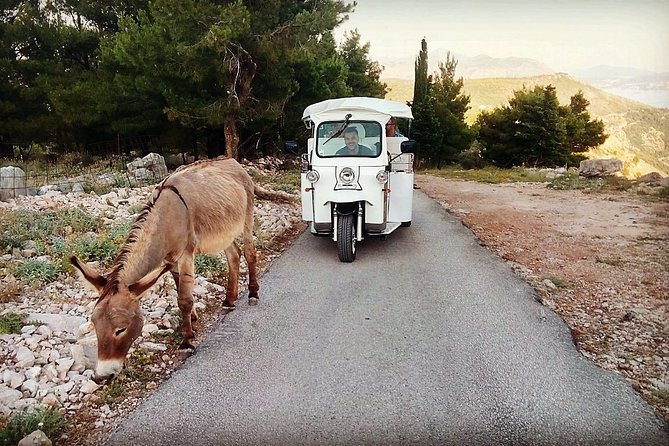 E-Tuk Tuk Tour in Dubrovnik - FAQs