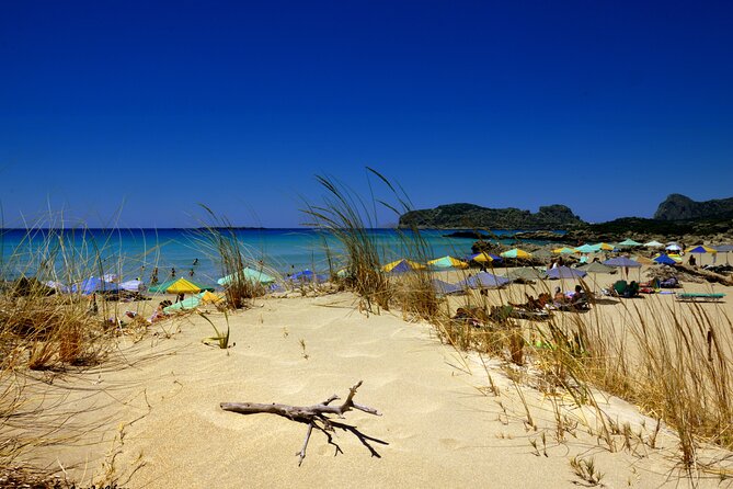 Elafonisi & Falasarna Small Group Tour from Chania w/snacks - The Cultural Stop: The Oldest Olive Tree of Vouves