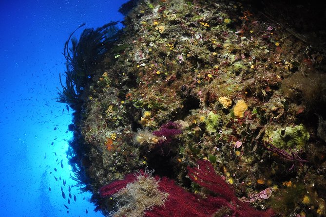 Etna & Diving Jeep Tour