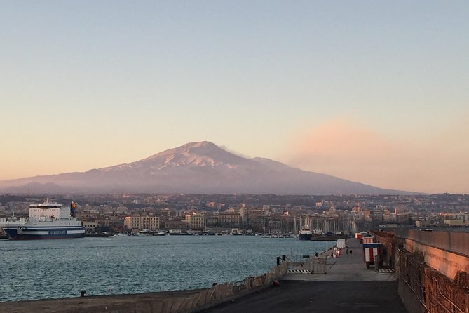 Etna Tour for Cruises (from the port of Catania) - Who Will Love This Tour?