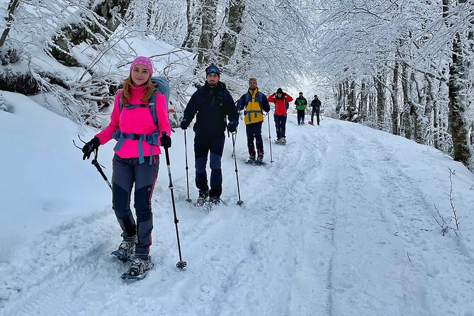 Experience Snowshoeing in Olympic Mountain Bjelanica - What To Expect During Your Snowshoeing Adventure