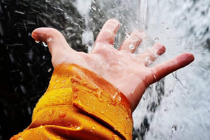 Explore the Waterfalls of the South Coast - What We Love About This Tour