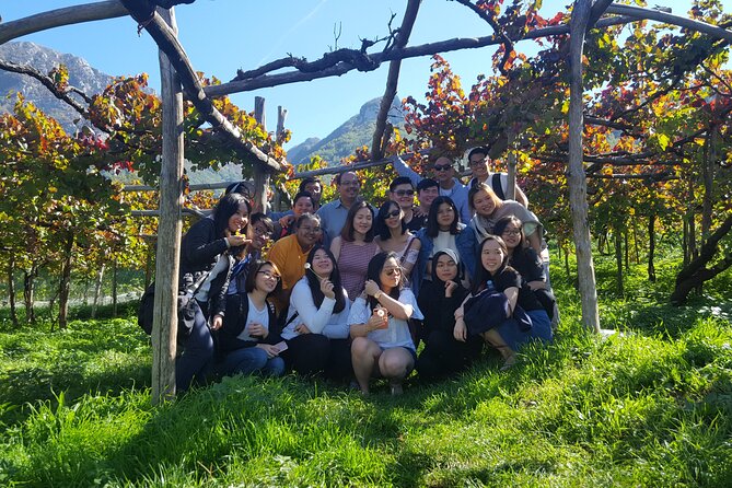 Family or friends Transportation Service for the Experiences - Why This Transportation Service Works for You