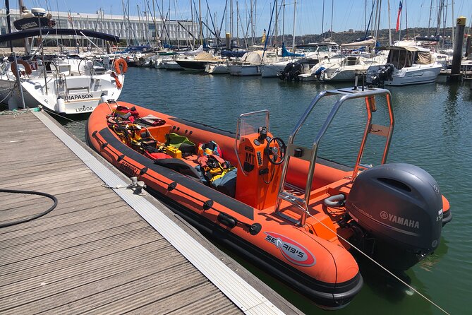 Feathers & Scales - Setting the Scene: Lisbon’s Atlantic Biodiversity