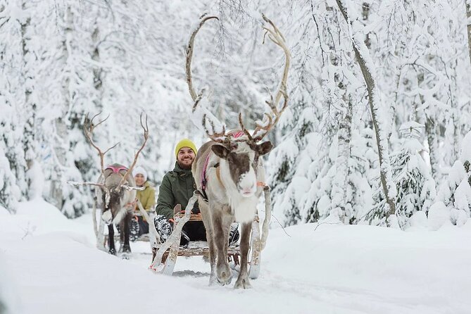 Forest Trail Reindeer Safari - The Itinerary Breakdown