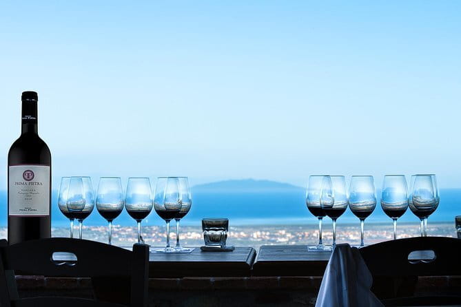 From Florence PRIVATE:Bolgheri Wine Tour,tasting among the Tuscany coastal hills - Why This Tour Offers Great Value