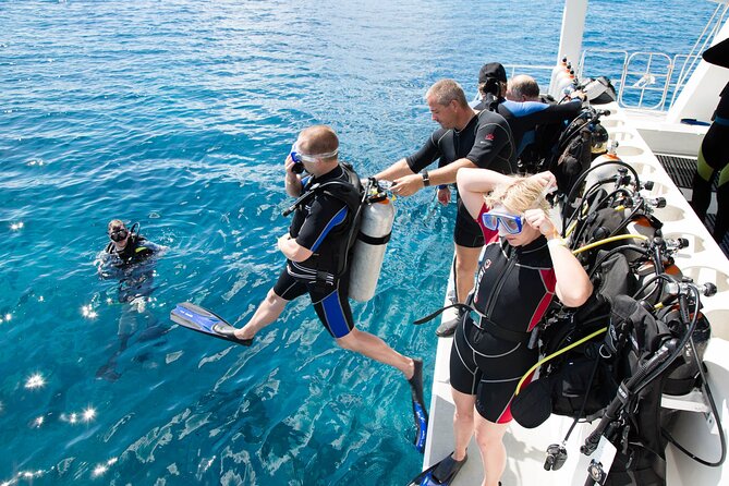 From Side, Alanya: Scuba Diving With 2 Time Dive & Lunch