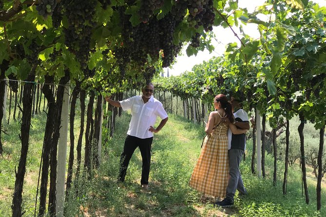 From Verona: Prosecco & Classic method sparkling wine tour, with light lunch
