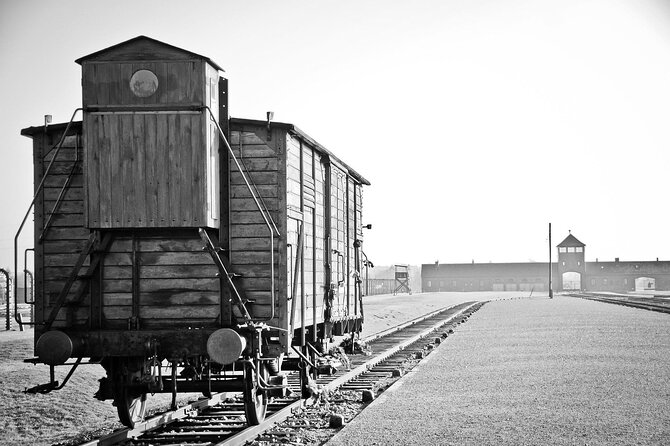 From Warsaw: Auschwitz-Birkenau Tour with Premium Train Transportation - The Itinerary: What to Expect