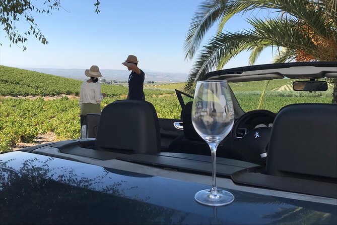 Full day in Cordoba between Vineyards and Olive Trees with a Convertible Car