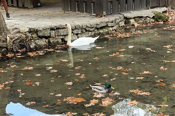 Full day Krka national park tour - What to Expect from the Itinerary