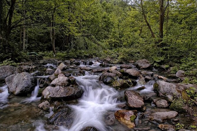 Full Day Sapanca and Masukiye Tour with lunch - Why This Tour Offers Good Value