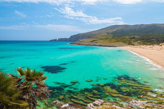 Full-Day Tour of Cala Agulla, and Cala Molto