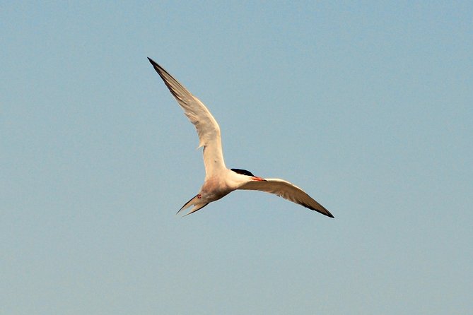 Full day tour to Texel - Friesian Islands - from Amsterdam