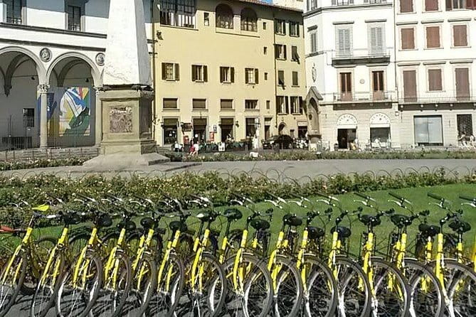 Fully equipped city bike to discover Florence - 1 day rental - Why Choose This Bike Rental in Florence?