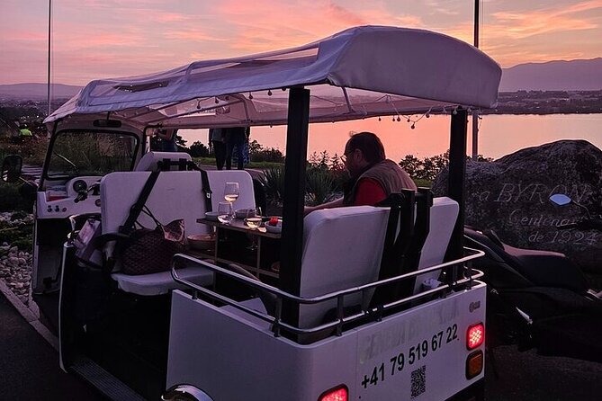Geneva: Sightseeing of top Places Tour Electric TukTuk 1H15 tour