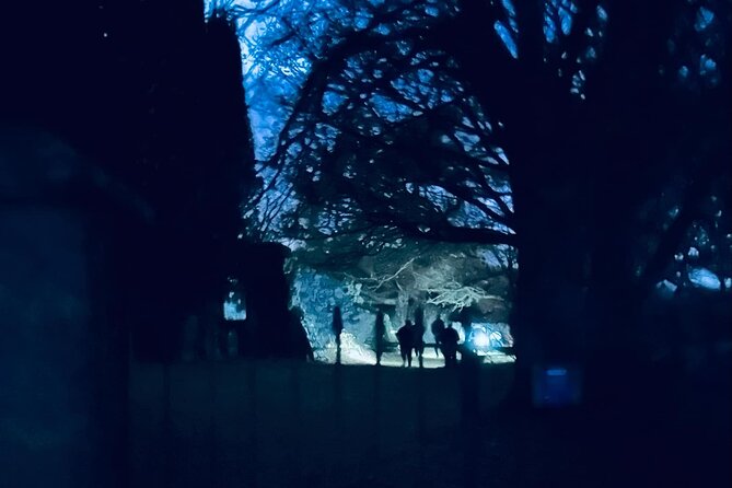 Ghost, Ghouls and Graveyards Private Highland Tour - Detailed Review of the Highland Ghost Tour