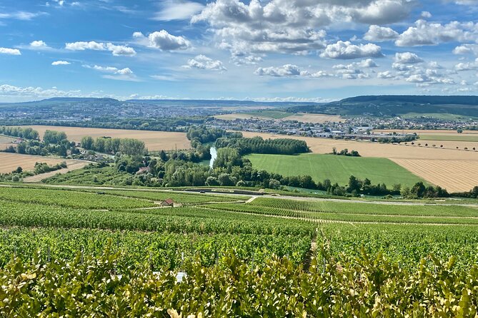 GRAND VINTAGE Moet et Chandon Veuve Clicquot Cellars & Tastings - Analyzing the Experience