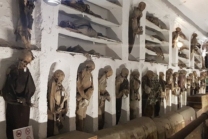 Guided Bike Tour to the Capuchin Catacombs - Who Should Do This Tour